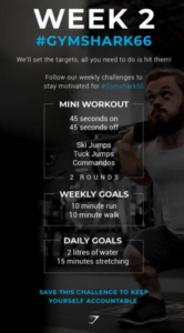Marketing Strategy Of Gymshark - HavStrategy